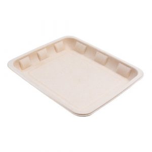 Sugarcane Pulp Tray 217x188x25mm – PERTH MEGAPLAS